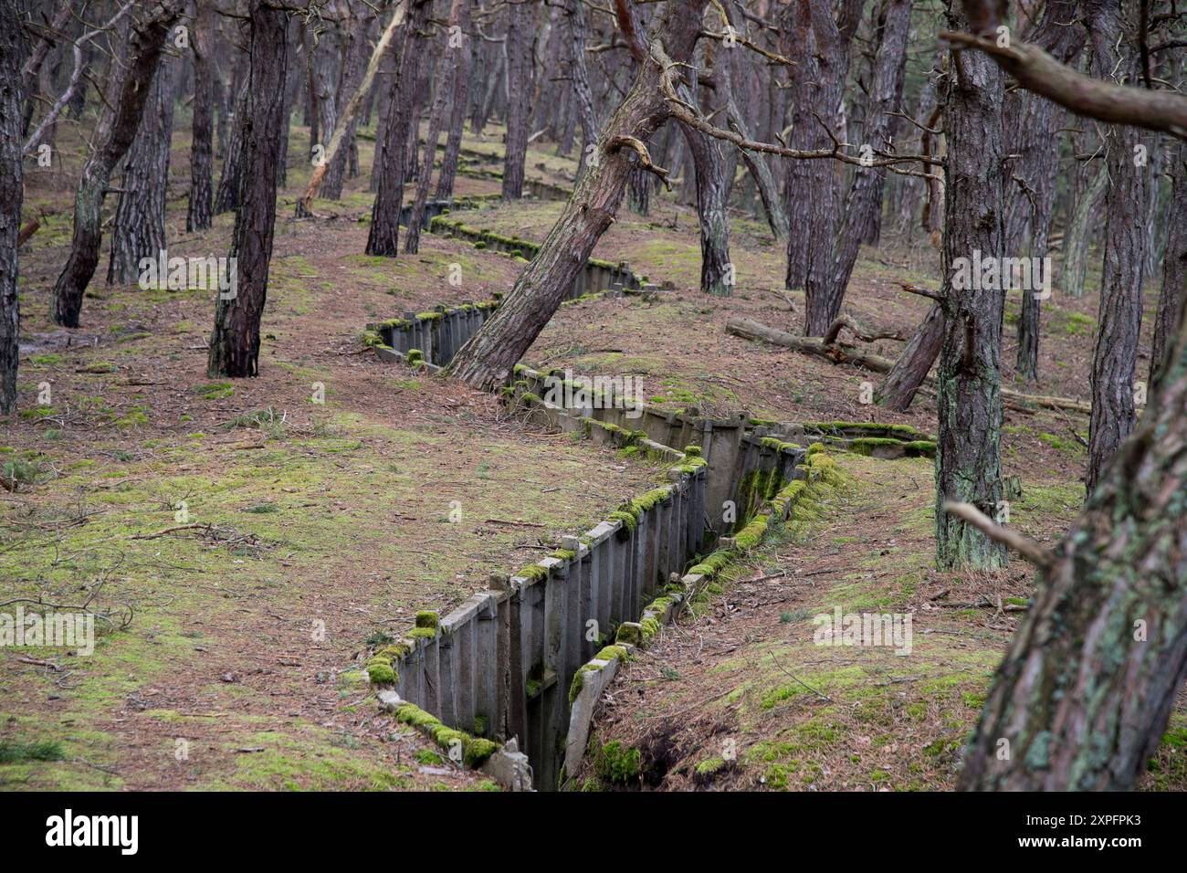 Poland cold war trench hi-res stock photography and images - Alamy
