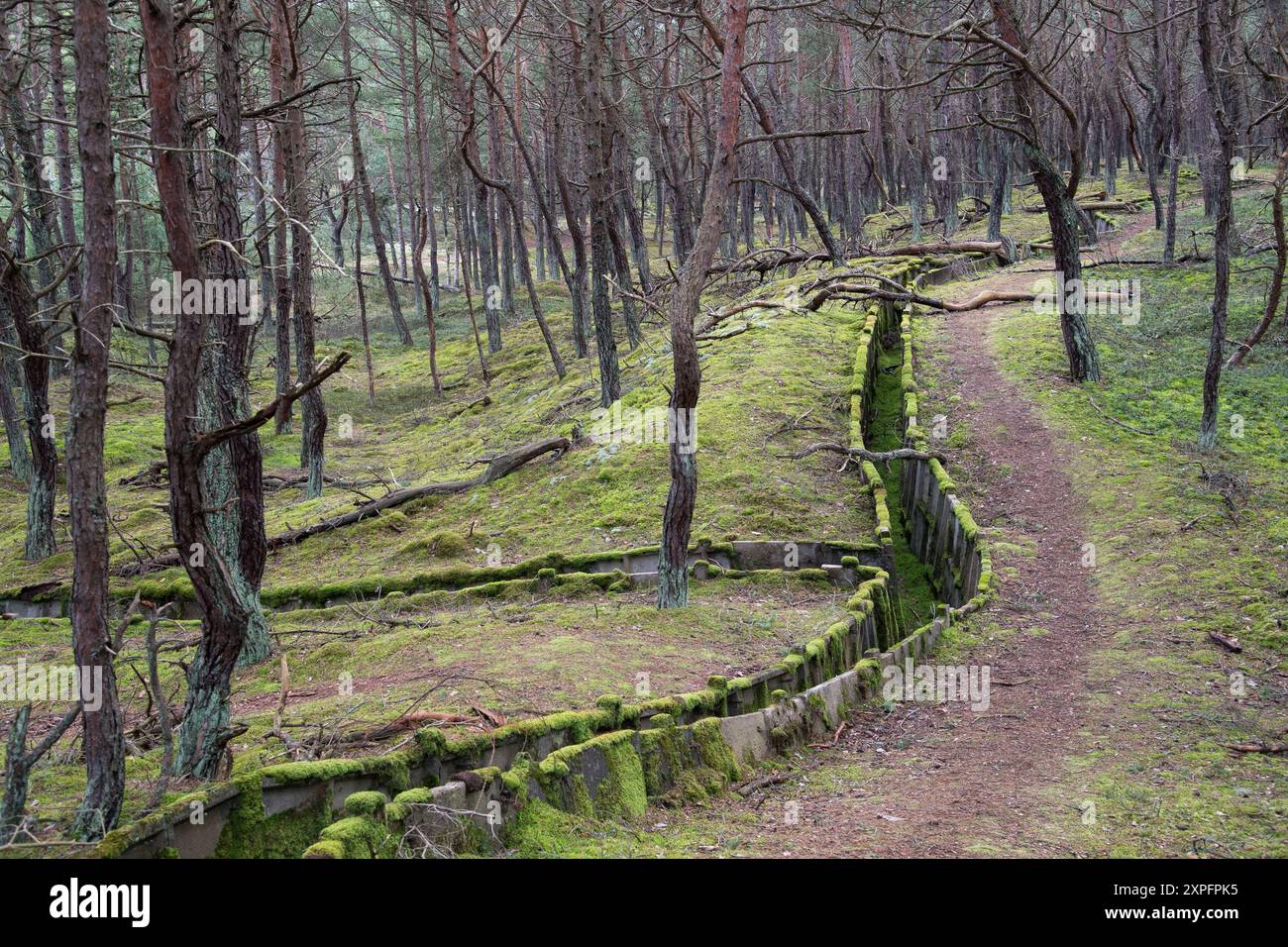 Poland cold war trenches hi-res stock photography and images - Alamy