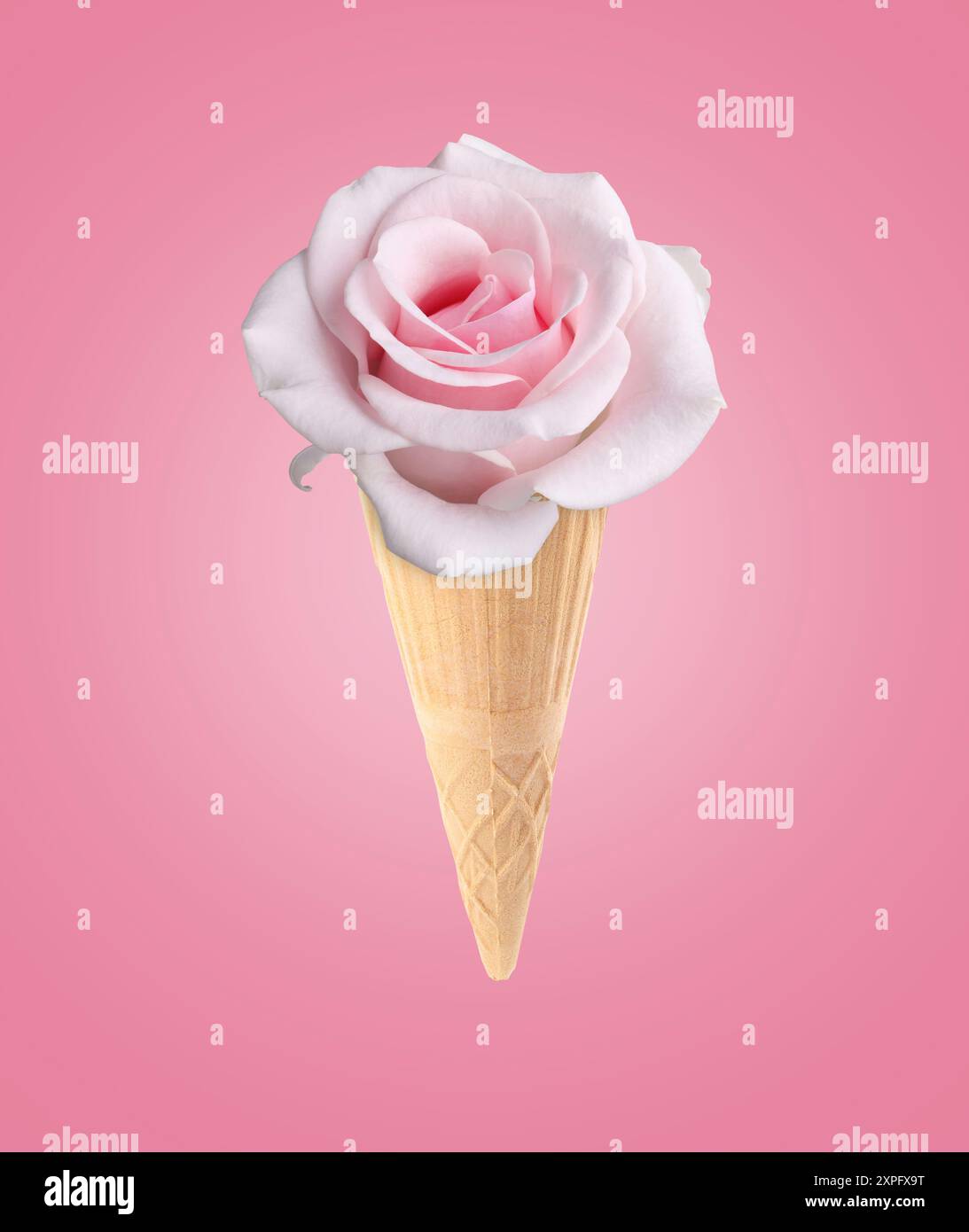 Ice cream cone with rose flower on pink background Stock Photo - Alamy