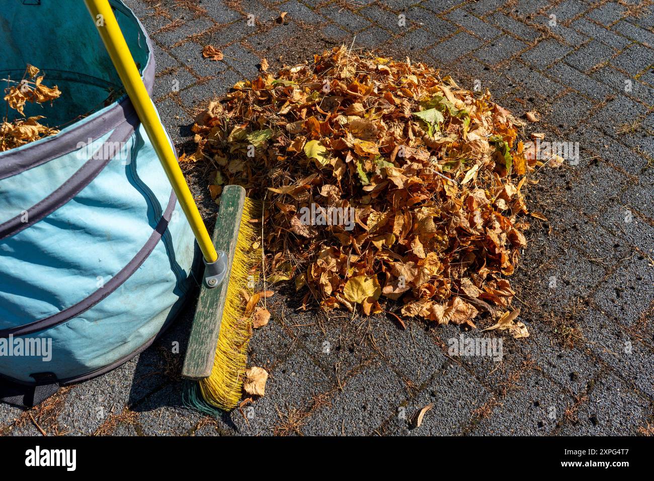 Pile of leaves with broom and bucket in autumn Stock Photo - Alamy