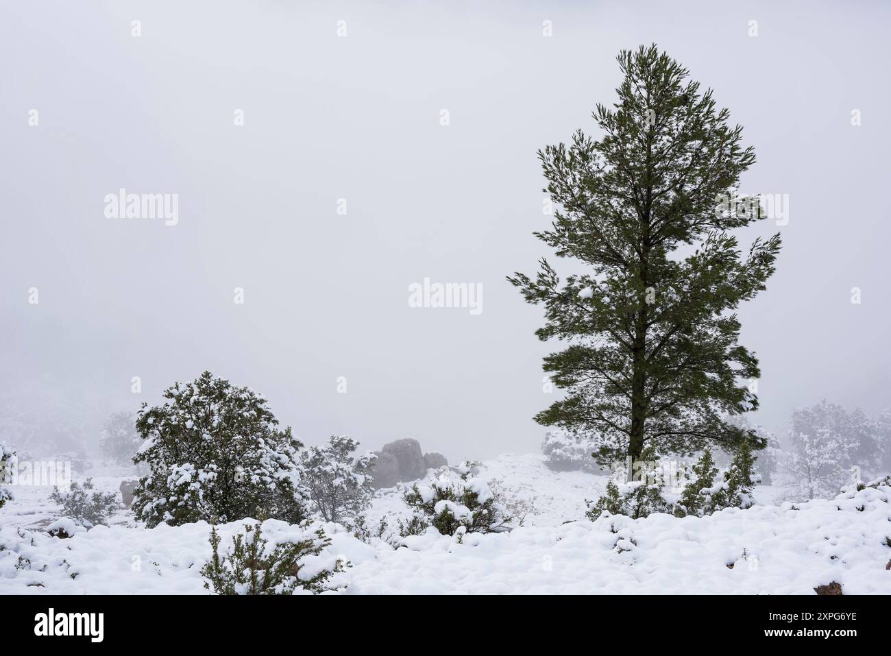 Mediterranean seasonal climate hi-res stock photography and images - Alamy