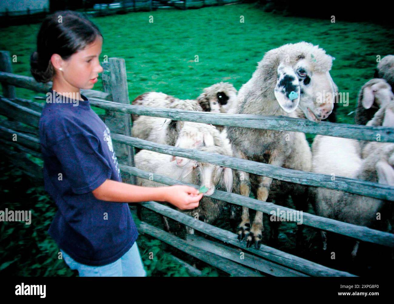 there was always a strong bond between animals and humans a strong bond ...