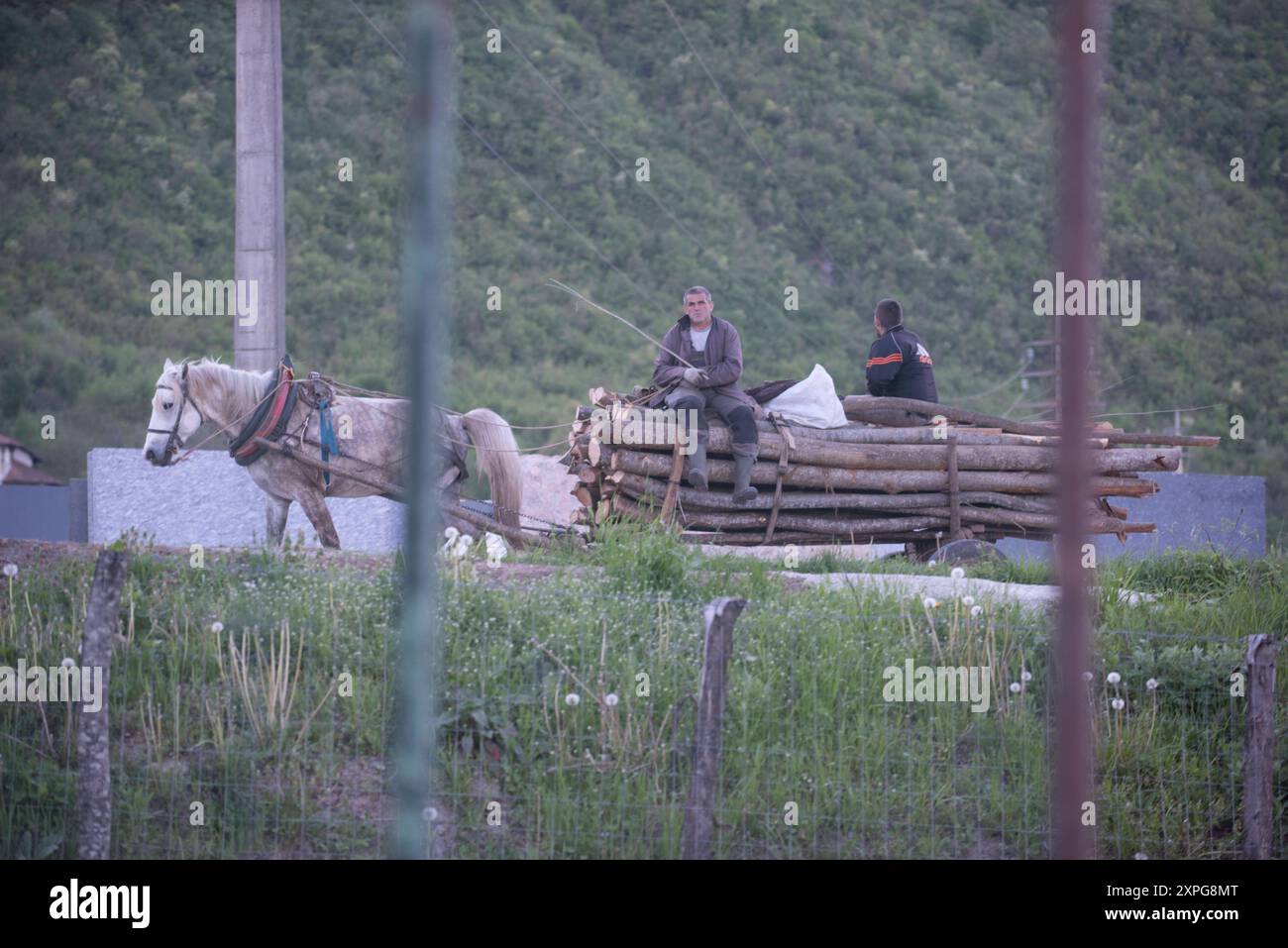 there was always a strong bond between animals and humans a strong bond ...