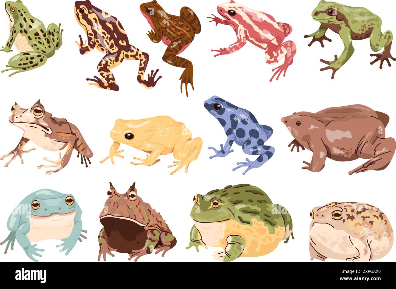 Frog vector graphics hi-res stock photography and images - Alamy