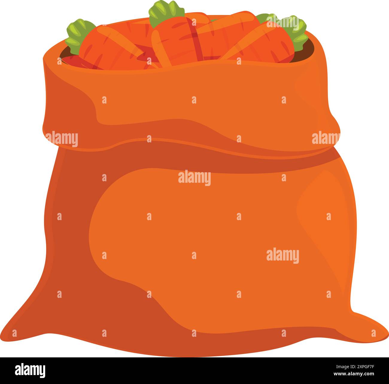 Full burlap sack overflowing with fresh carrots Stock Vector Image ...