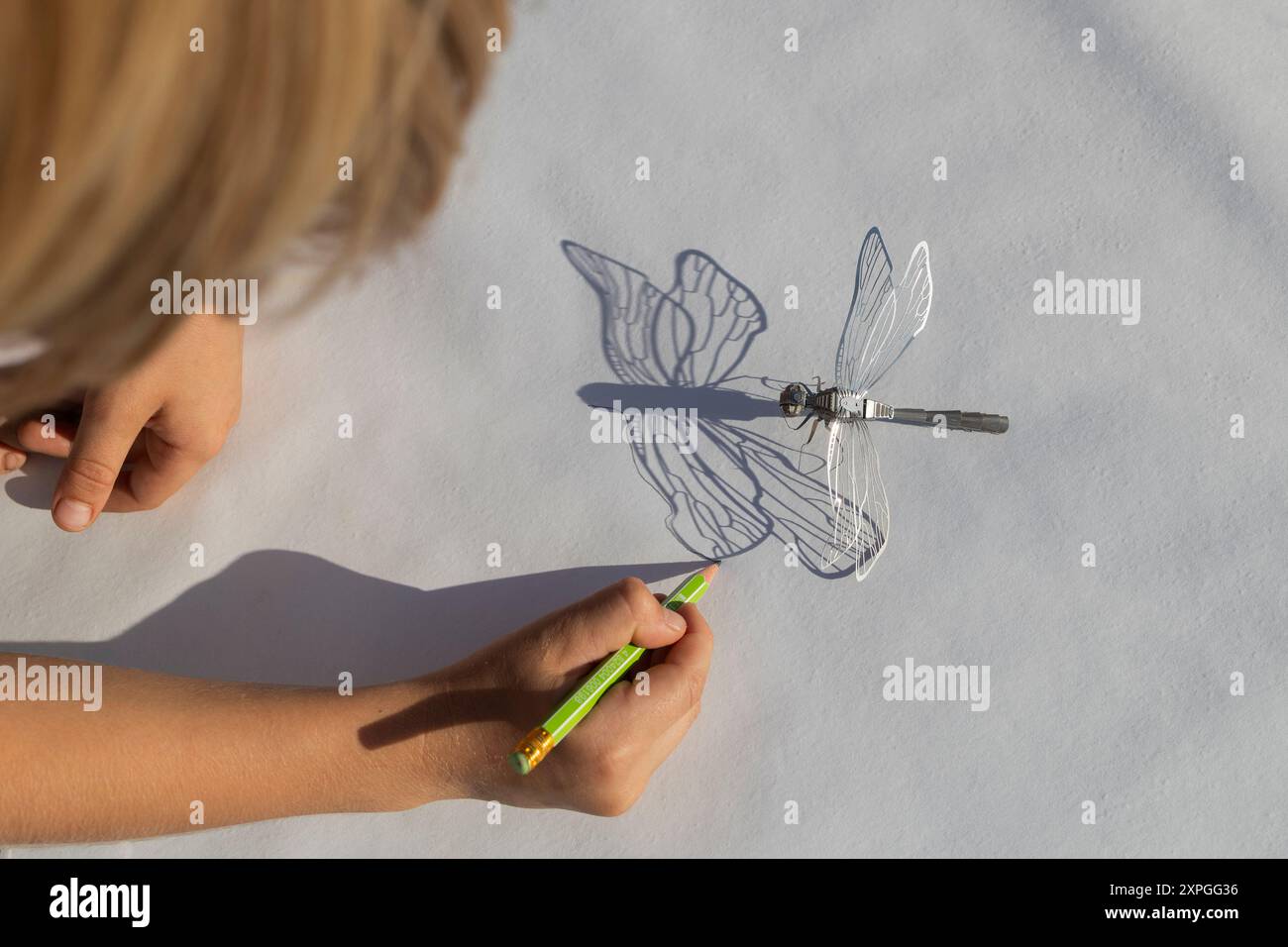 child concentrates on tracing the contrasting shadow of a toy dragonfly ...