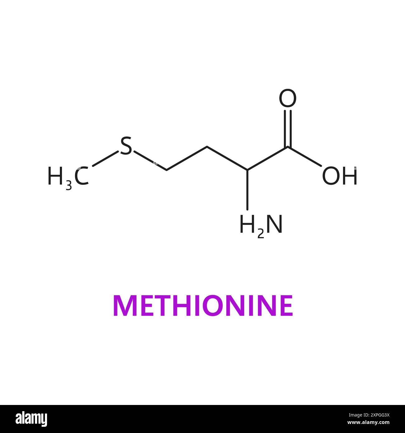 Structure Of Amino Acid