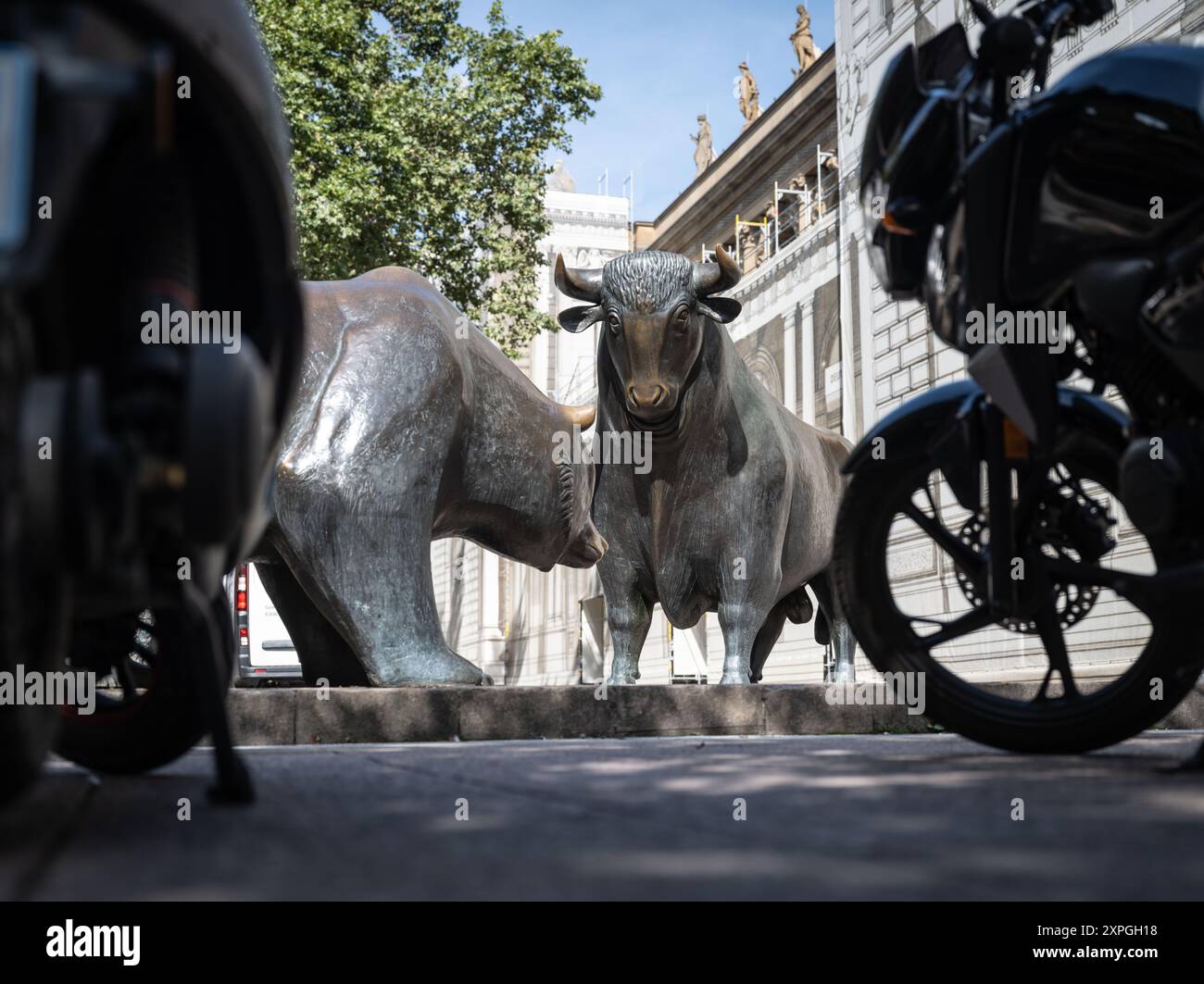 06 August 2024, Hesse, Frankfurt/Main: The bull, a symbol of rising ...