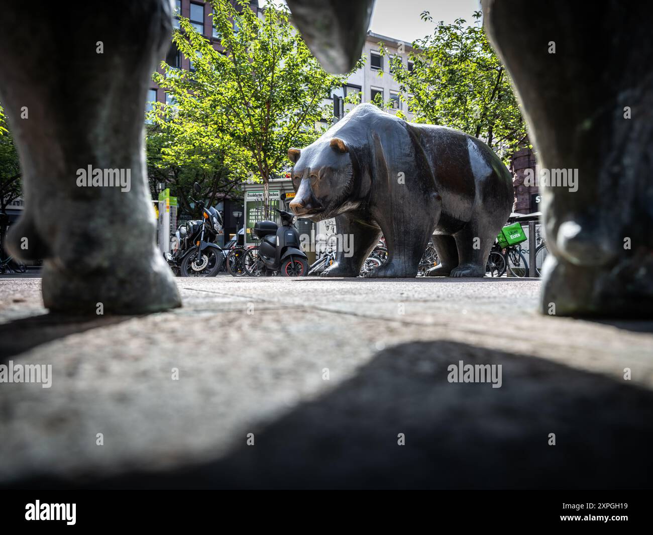 06 August 2024, Hesse, Frankfurt/Main: The bear, a symbol of falling ...