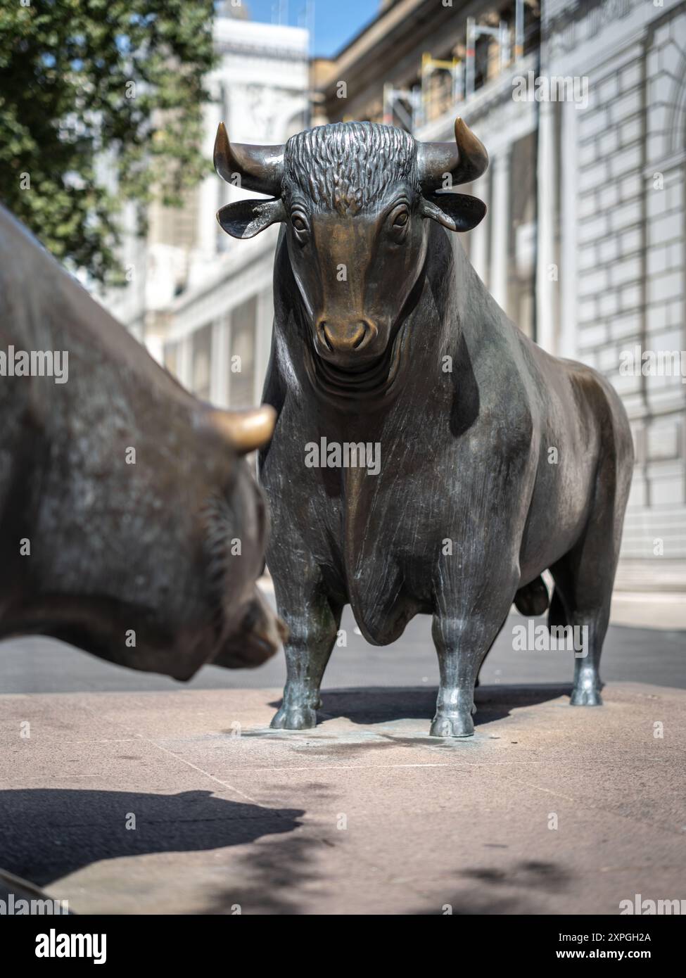 06 August 2024, Hesse, Frankfurt/Main: The bull, a symbol of rising ...