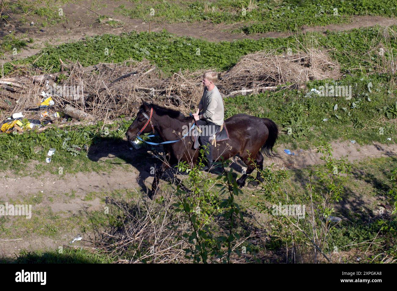 there was always a strong bond between animals and humans a strong bond ...
