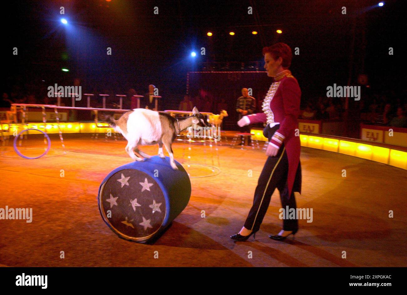 RECORD DATE NOT STATED there was always a strong bond between animals ...