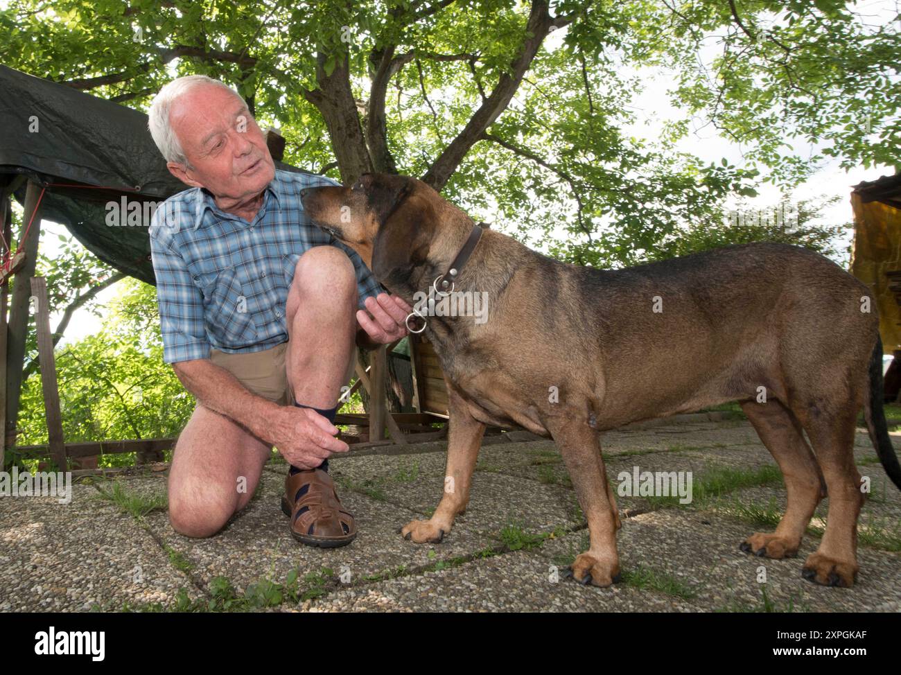 there was always a strong bond between animals and humans a strong bond ...
