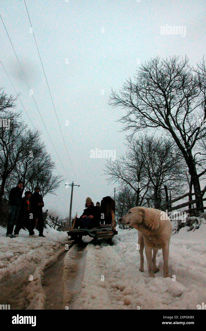 there was always a strong bond between animals and humans a strong bond ...