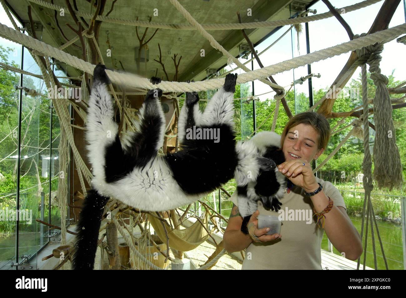 there was always a strong bond between animals and humans a strong bond ...