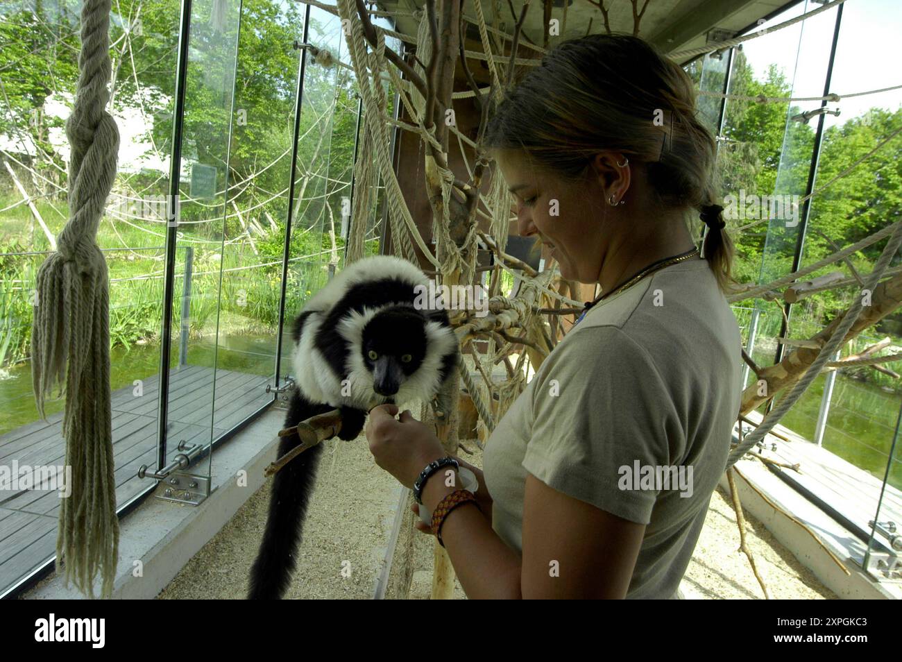 there was always a strong bond between animals and humans a strong bond ...