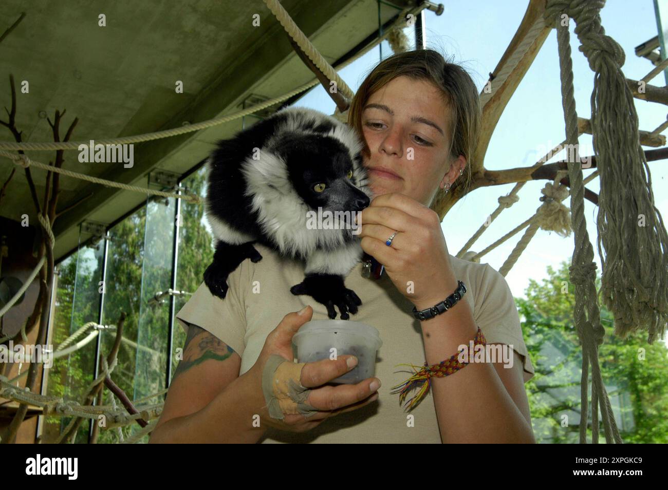 there was always a strong bond between animals and humans a strong bond ...