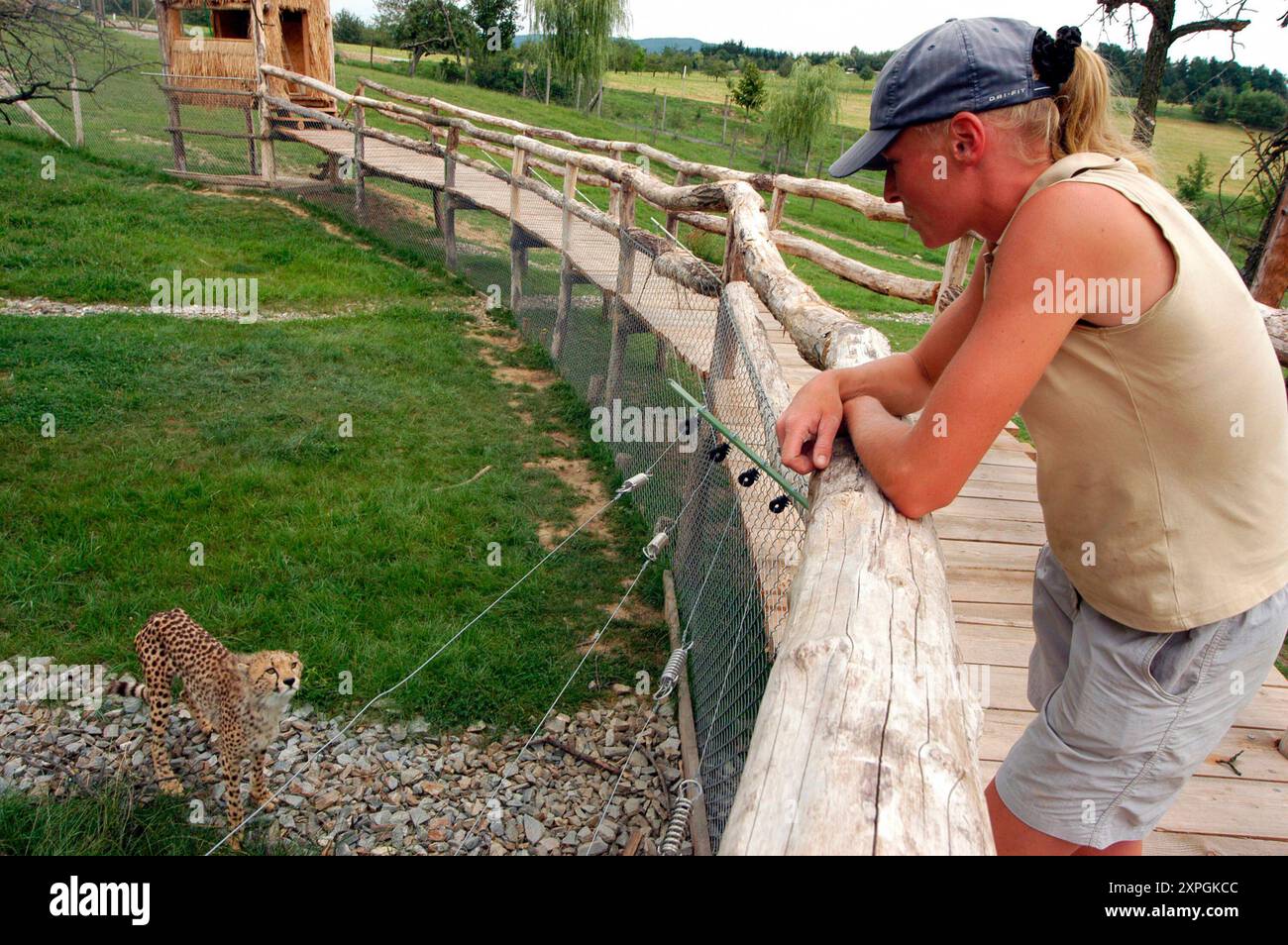 there was always a strong bond between animals and humans a strong bond ...