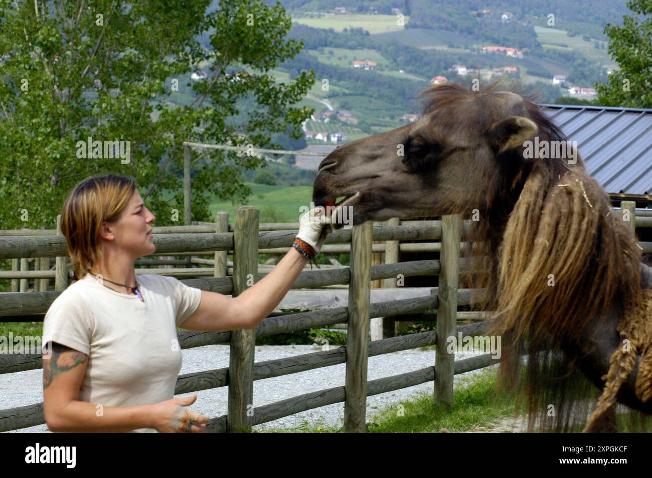 there was always a strong bond between animals and humans a strong bond ...