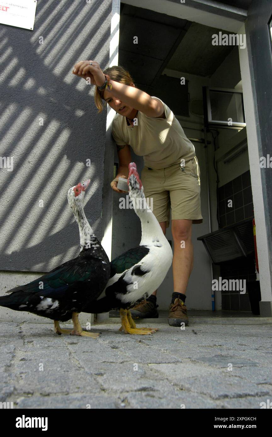 there was always a strong bond between animals and humans a strong bond ...