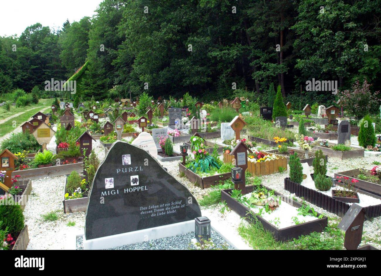 there was always a strong bond between animals and humans a strong bond ...