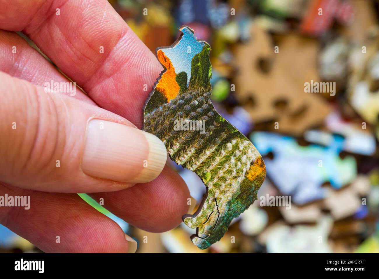 Whimsy hi-res stock photography and images - Alamy