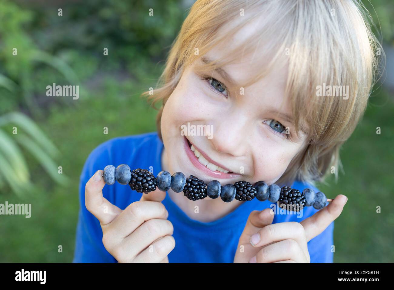 cute child holds blackberries and blueberries strung on stick in front ...