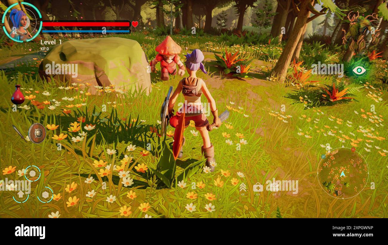 Video Game Mock-up Screen: Fun Gameplay of 3D Colorful Fantasy Role ...