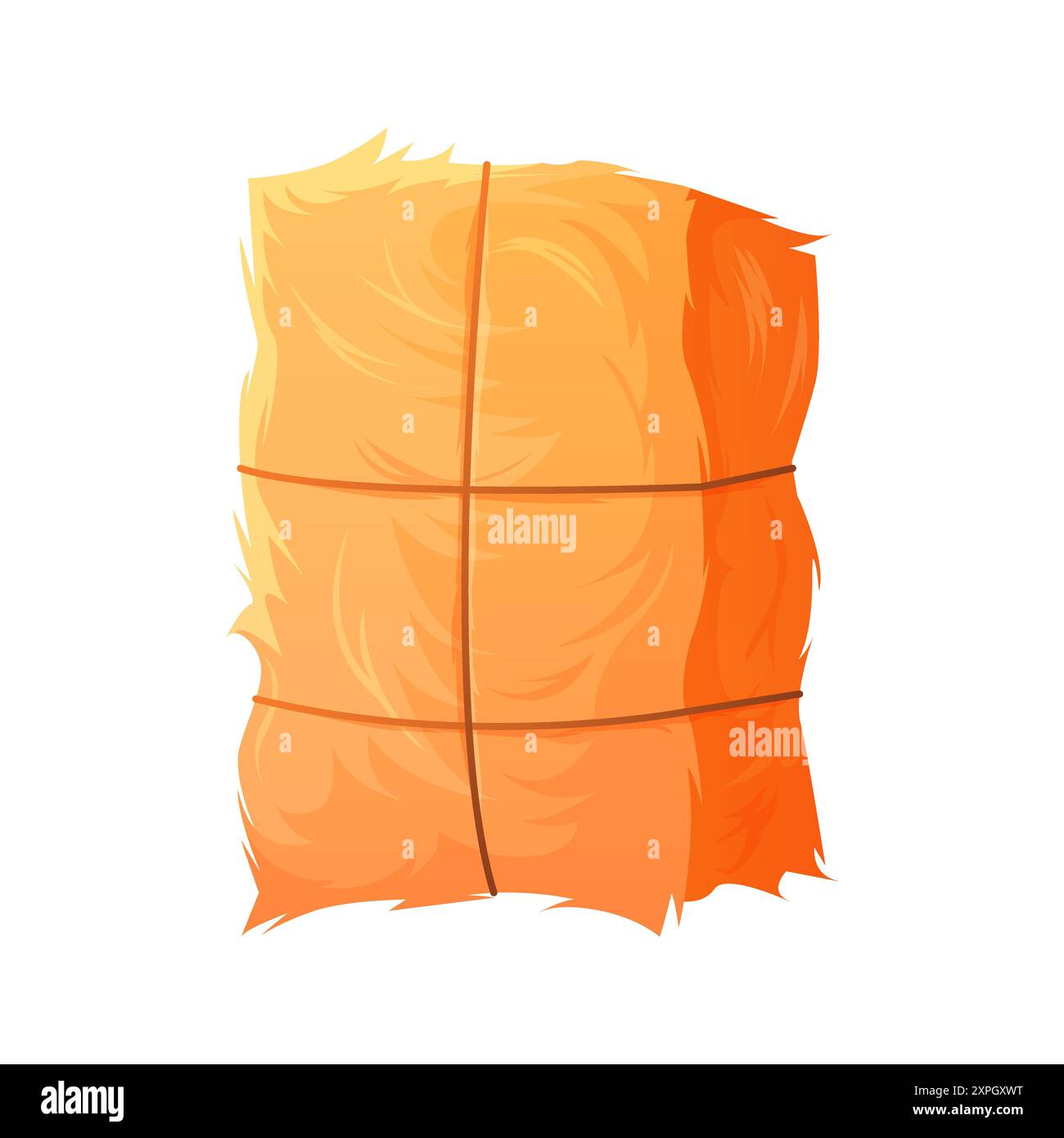 Hay harvest in rectangular bundle with ropes, countryside farm ...