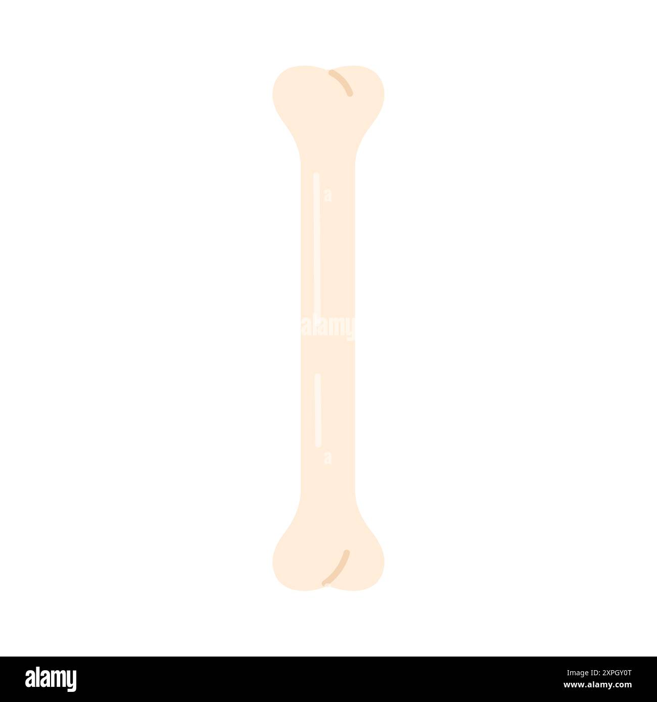 Dog bone for eating and playing, bone of chicken leg and treat vector ...
