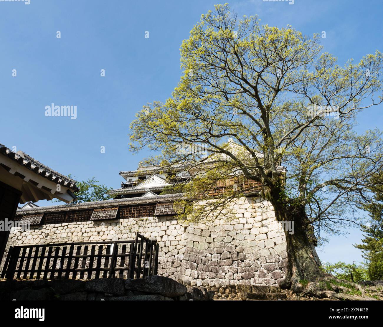 Matsuyama, Ehime prefecture, Japan - April 11, 2018: Springtime on the ...