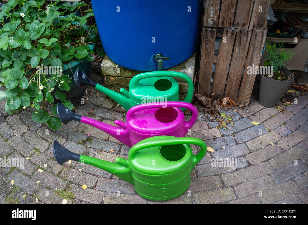Watering cans in front of a rain barrel, saving rainwater to reuse it ...