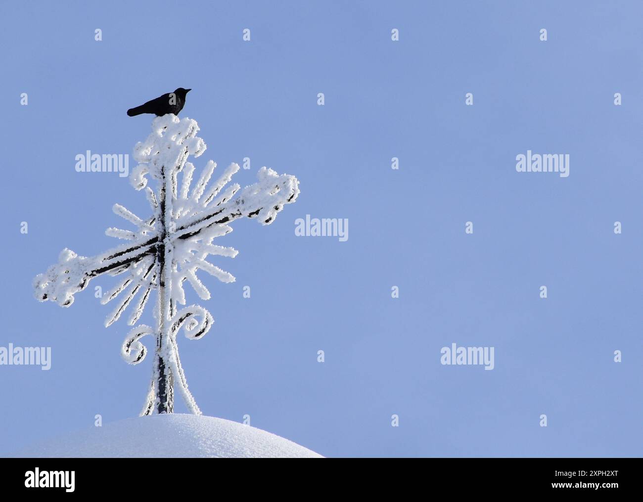 A crow on the cross of the church, Sainte-Apolline, Québec, Canada ...