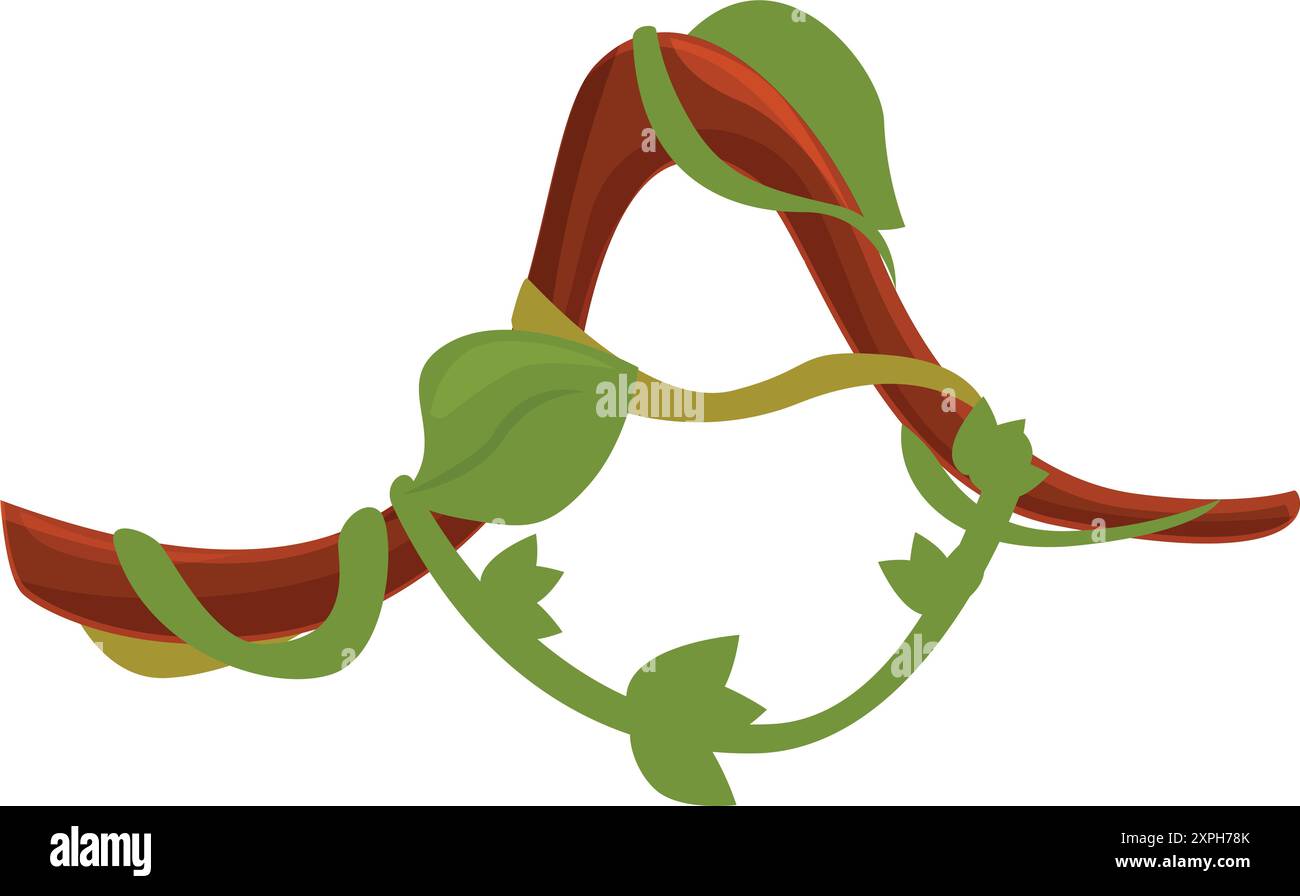 Woody liana vine Stock Vector Images - Alamy