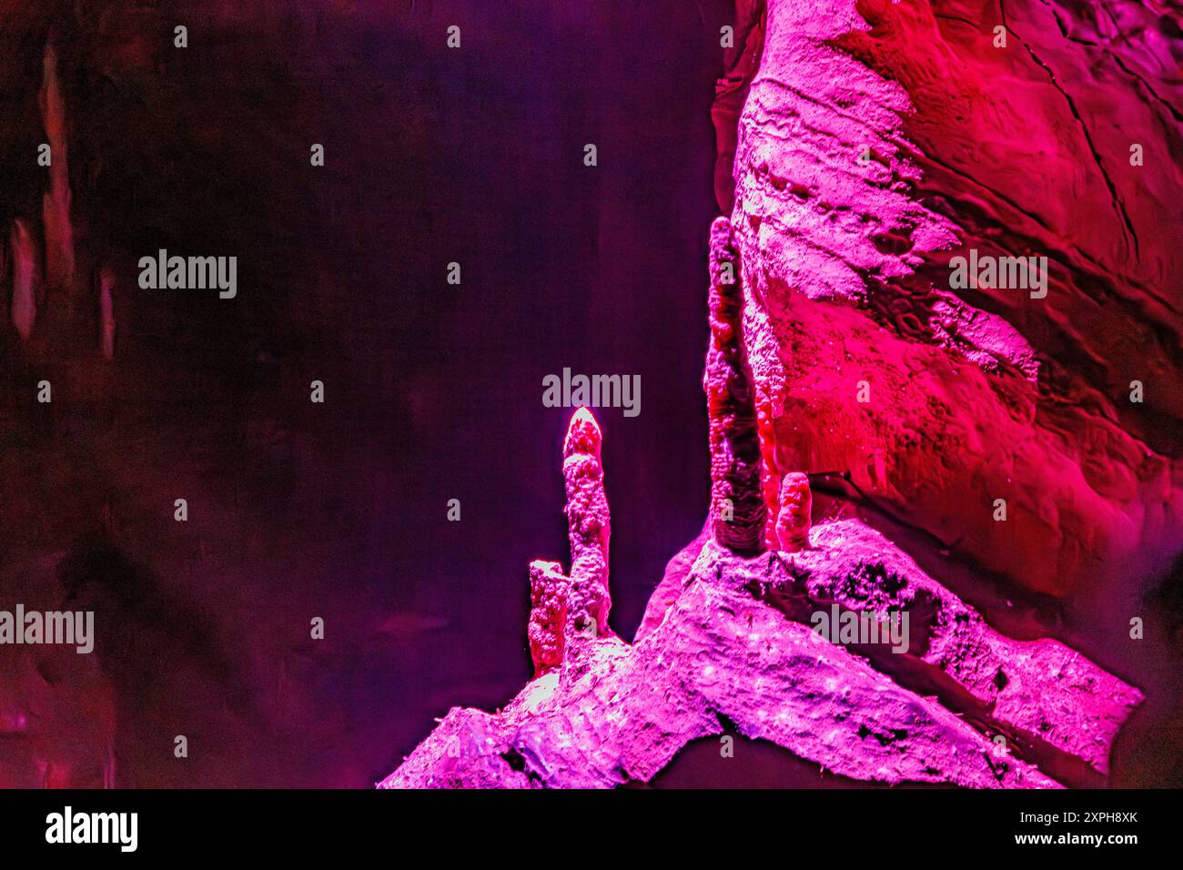 Escalacnites in underground rock formation with irregular, rough and ...