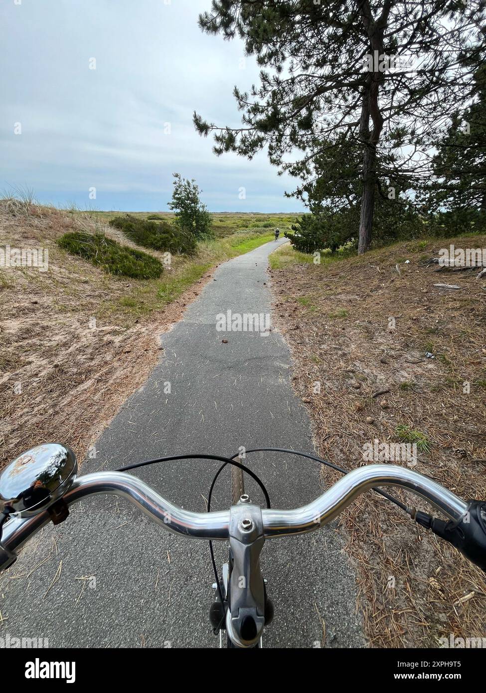 Bicycle ride through the Skagen forest. Top view of the handlebars from ...