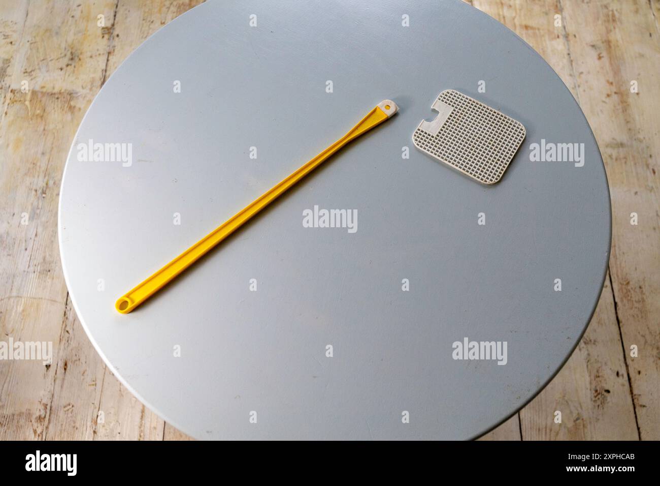 It was a very big fly Stock Photo - Alamy