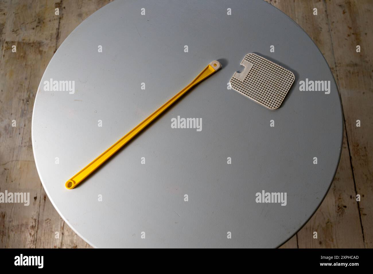 It was a very big fly Stock Photo - Alamy