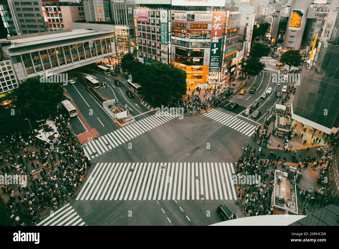 Shibuya Crossing in Tokyo Japan Stock Photo - Alamy
