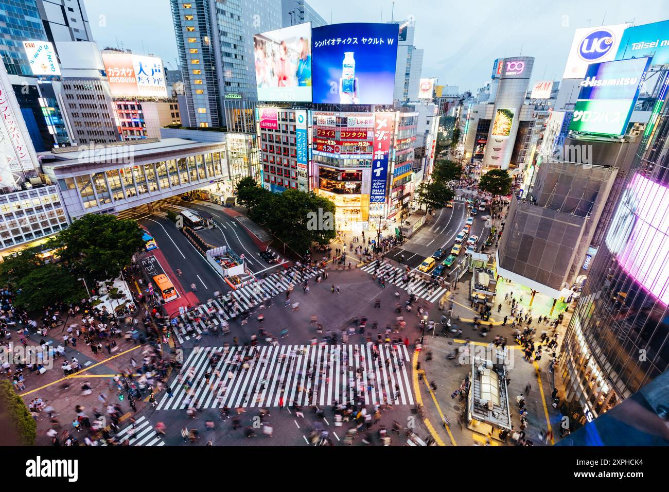 Shibuya Crossing in Tokyo Japan Stock Photo - Alamy