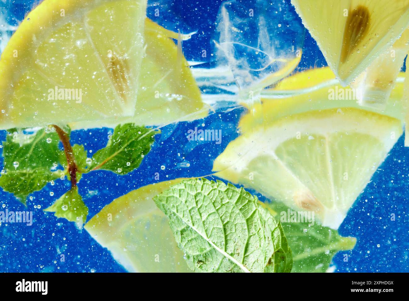 Lemon slices and mint leaves immersed in sparkling water. Essence of refreshing, zesty summer ...