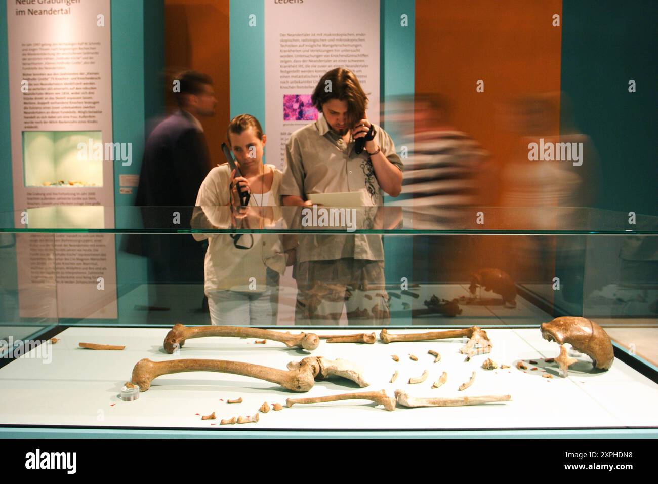 Homo neanderthalensis 1856 hi-res stock photography and images - Alamy