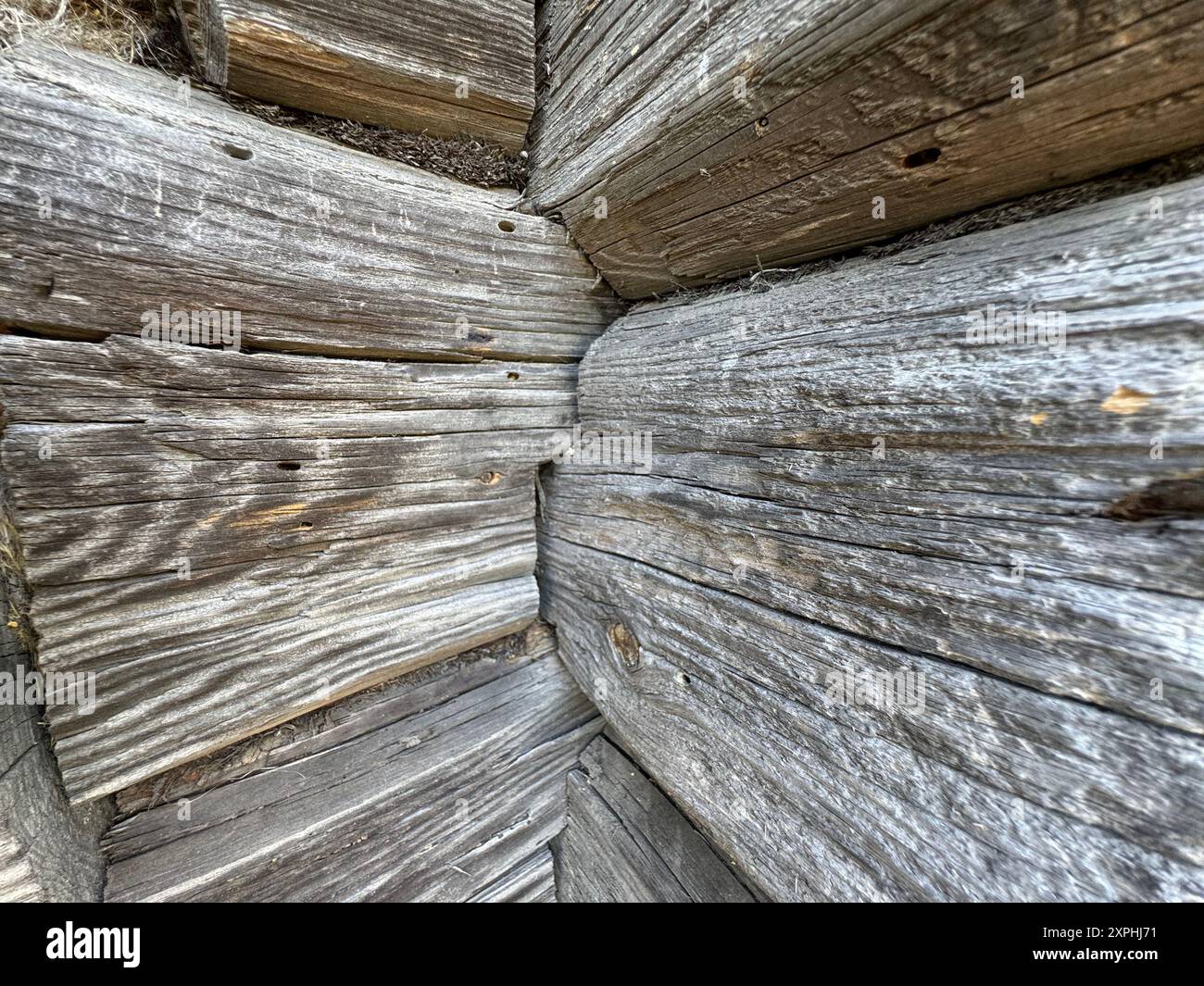 Old log wall. The logs are cracked and eaten by bugs. Converge at an ...
