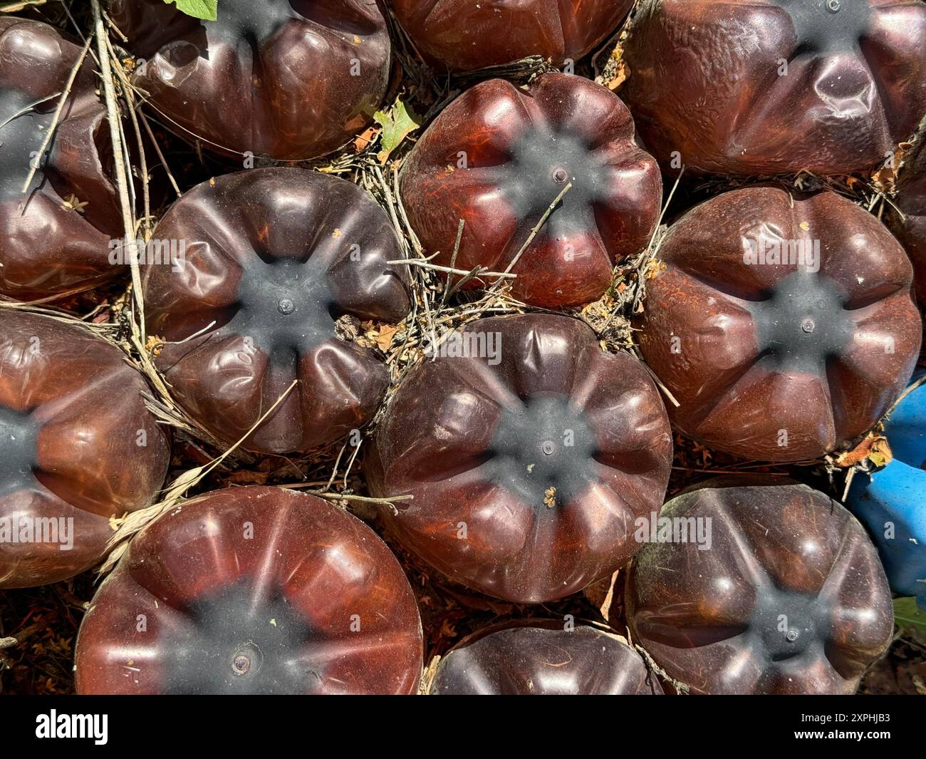 Trash landfill buried hi-res stock photography and images - Alamy