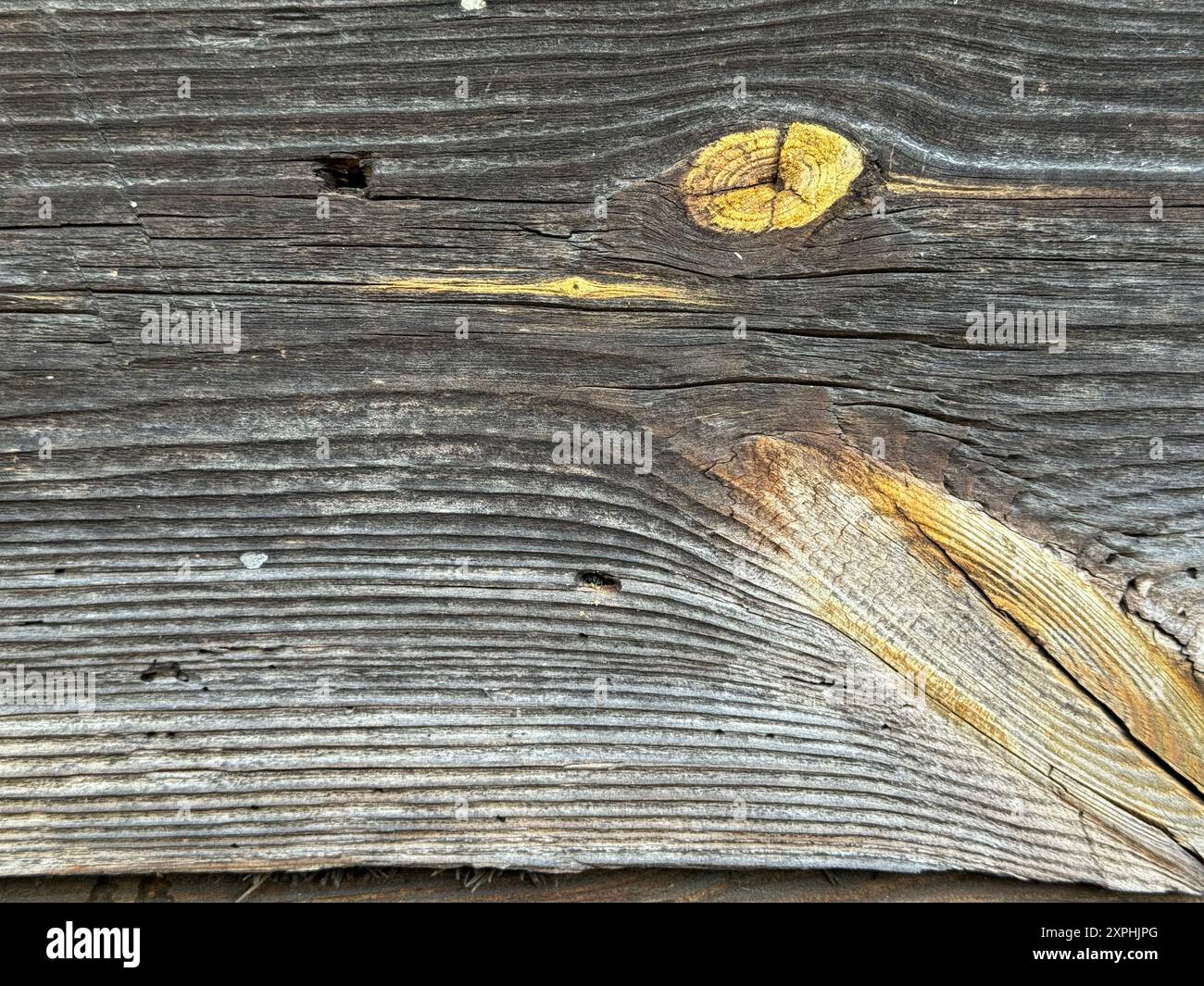 Old worn pine log. A knots with yellowed resin from age Stock Photo - Alamy