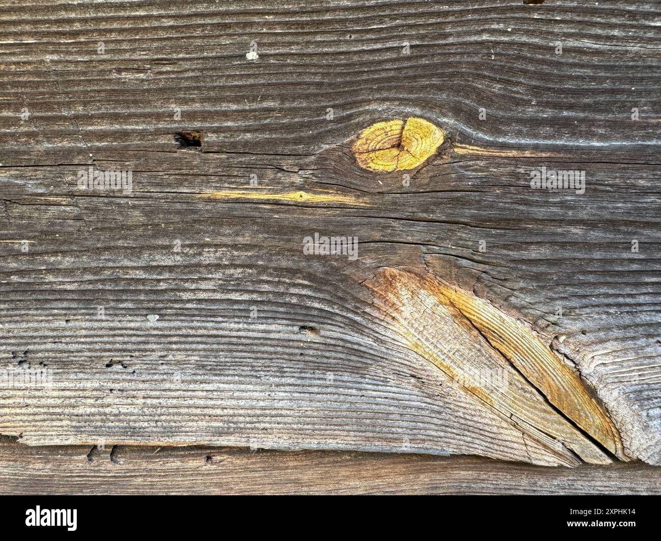 Old worn pine log. A knots with yellowed resin from age Stock Photo - Alamy