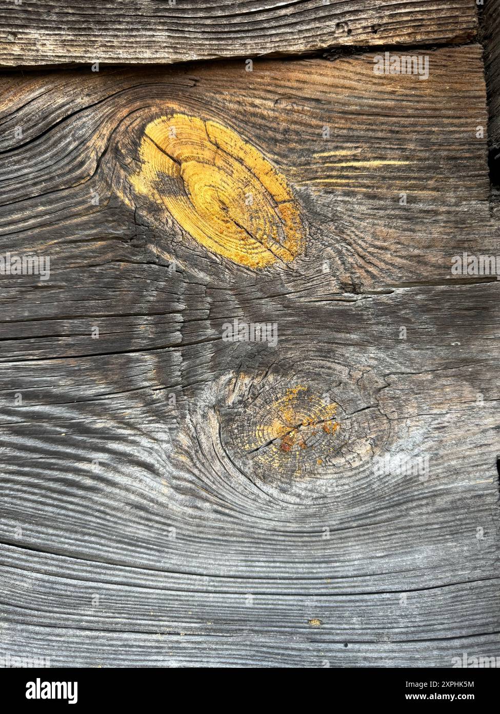 Old worn pine log. A knot with yellowed resin from age Stock Photo - Alamy