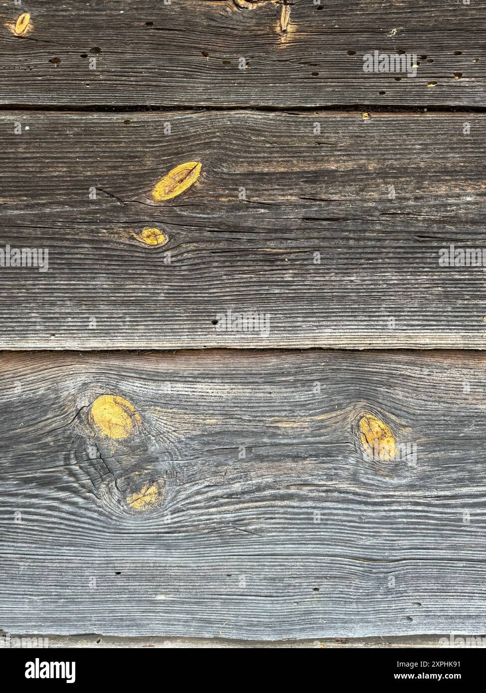 Old worn pine log. A knots with yellowed resin from age Stock Photo - Alamy