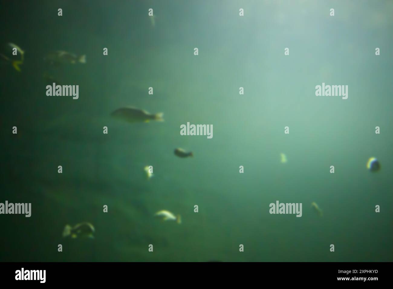 Underwater ocean abstract blur for background Stock Photo - Alamy