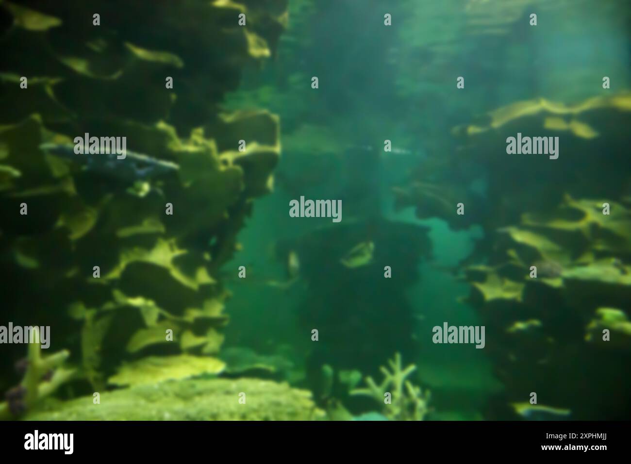 Underwater ocean abstract blur for background Stock Photo - Alamy